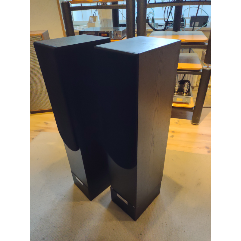 Brugt Living Voice Auditorium R3 Black Ash